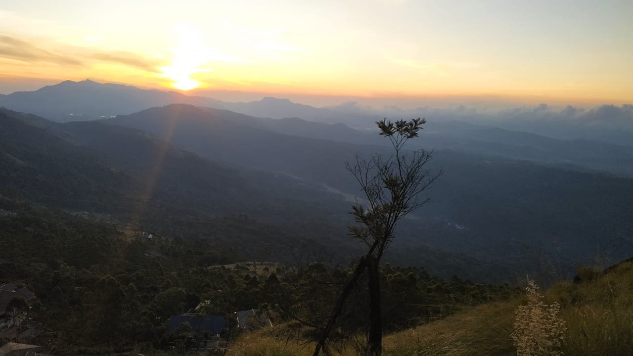 Munnar Hiking Trials | Munnar Trekking Tours | Best Trekking Agency in Munnar | Sight Seeing in ...